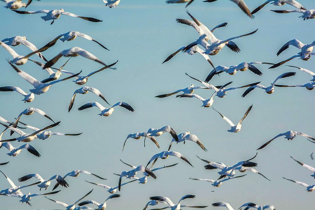 In Writing: Dale Hobson | Poetry and other symbolic gestures