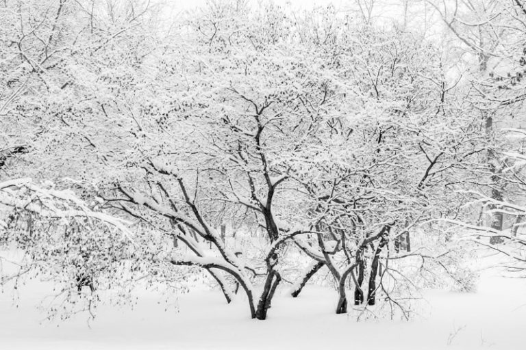 In Writing: Dale Hobson | Poetry and other symbolic gestures