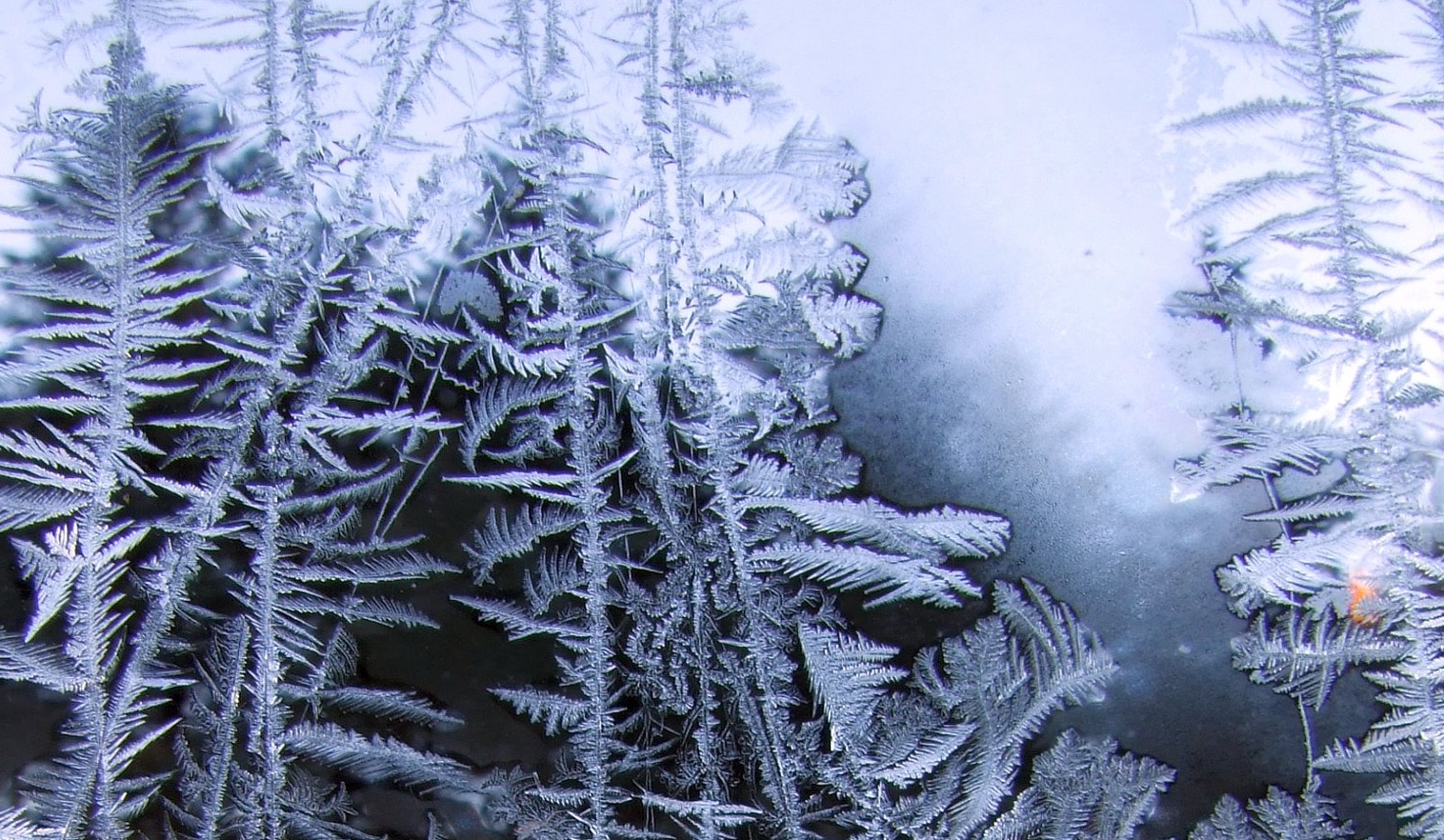 Cold Village | In Writing: Dale Hobson