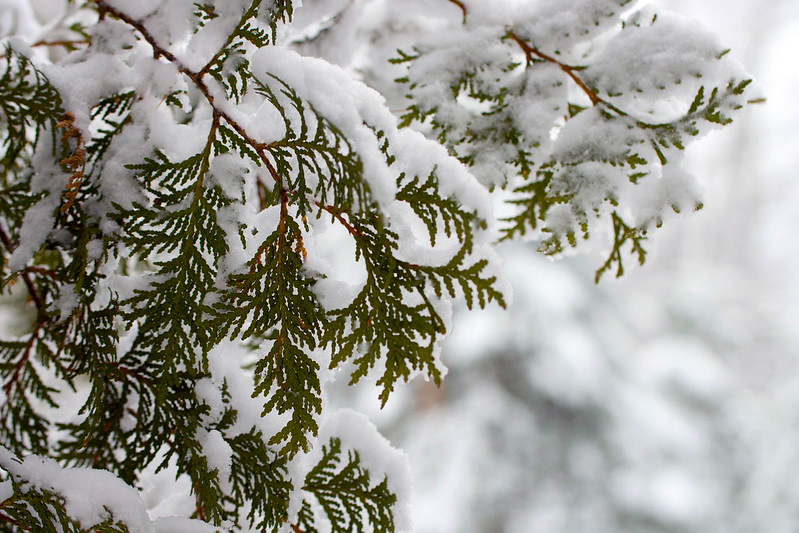 In Writing: Dale Hobson | Poetry and other symbolic gestures